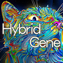 Hybrid Gene